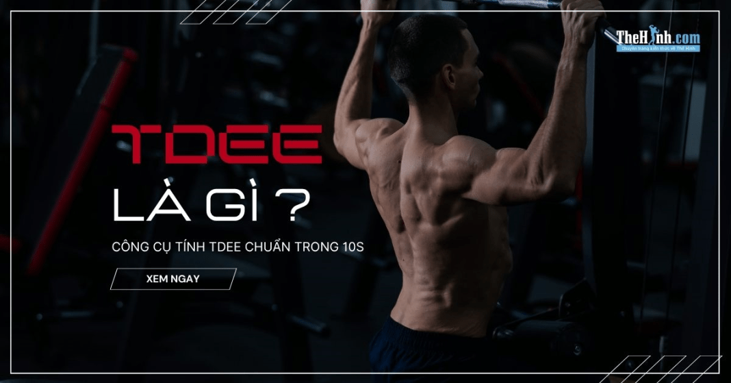 TDEE là gì ? Công cụ tính TDEE nhanh trong 10 giây